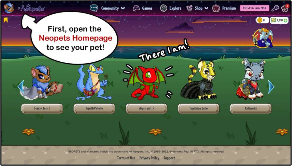 Neopets – Custom Neopet Acrylic Keychain Charms (Officially Licensed ...